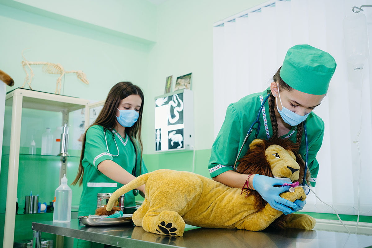 Veterinarska ordinacija - MiniPolis.hr